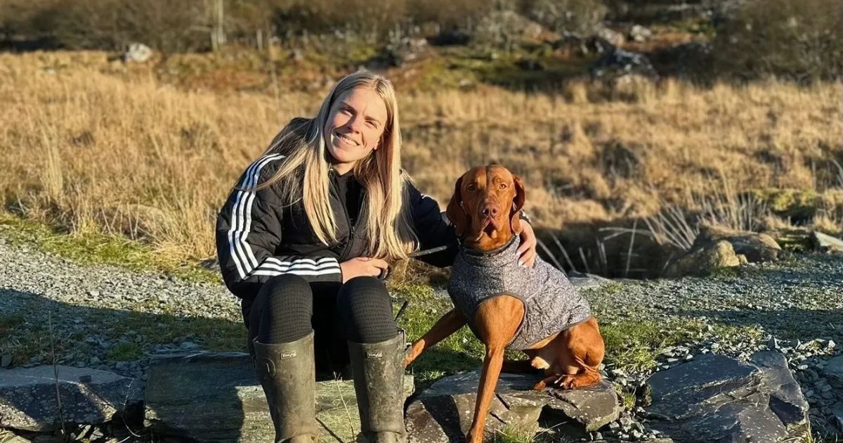 Dog Walker - Gentle Paws Walking - Wooburn Green, Bucks